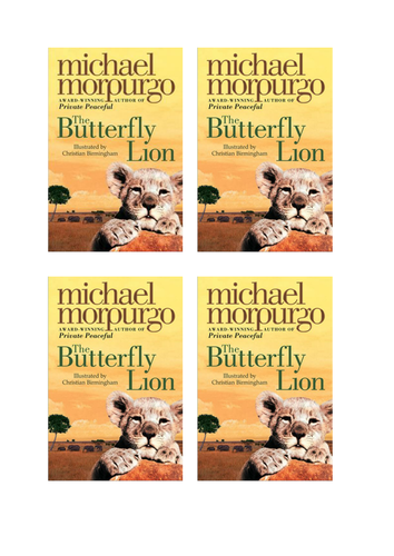 KS2 Literacy 'The Butterfly Lion' by Michael Morpurgo unit of work (21 ...