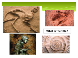 New GCSE - Fossilisation | Teaching Resources