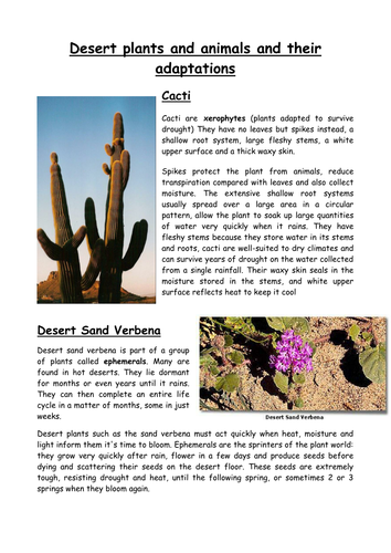 Desert plant and animal adaptations | Teaching Resources