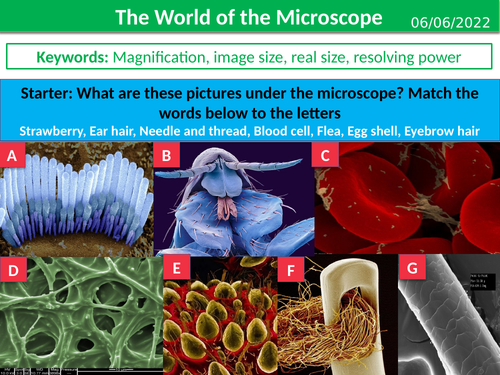 The World of the Microscope | Teaching Resources