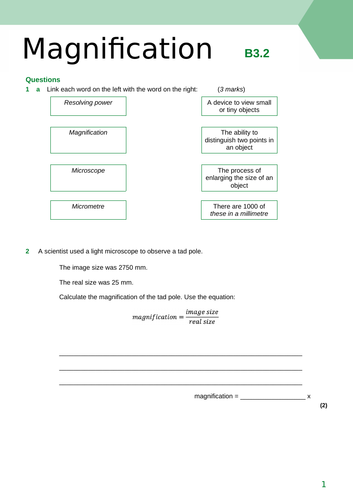 The World of the Microscope | Teaching Resources
