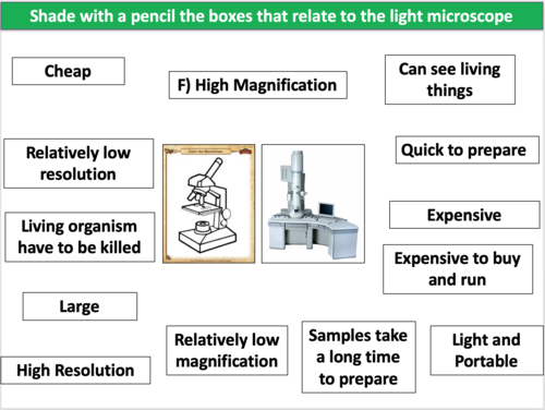 The World of the Microscope | Teaching Resources