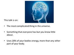 Assembly on Understanding the Teenage Brain | Teaching Resources