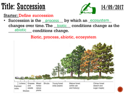 Succession - complete lesson (A2) | Teaching Resources