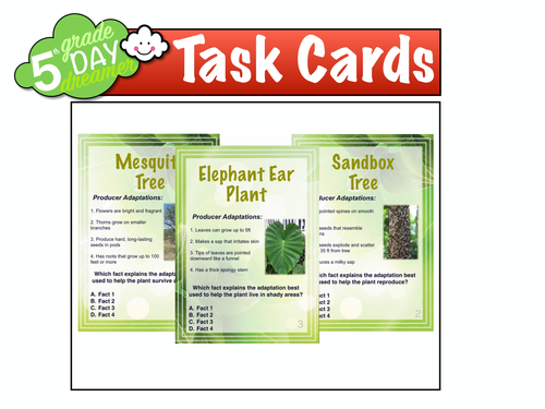 Plant Adaptation Task Cards | Teaching Resources