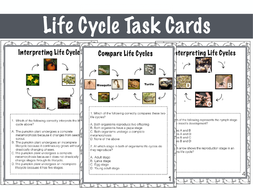 Life Cycle Task Cards | Teaching Resources