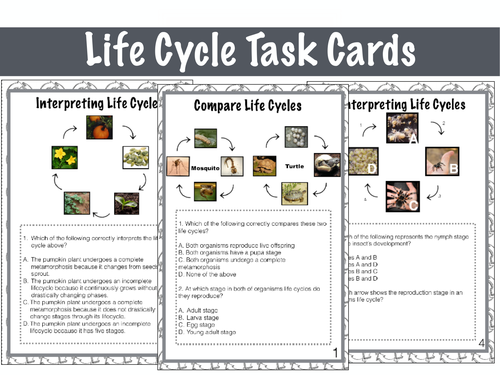 Life Cycle Task Cards | Teaching Resources