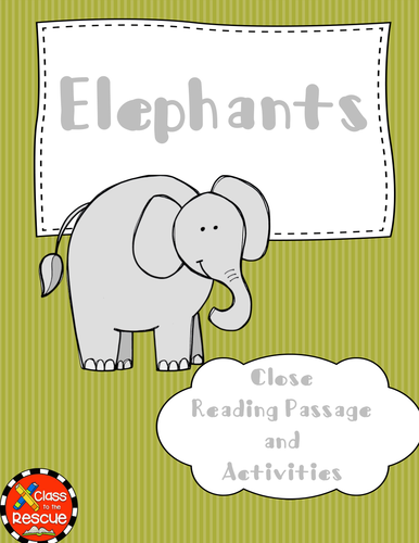 Differentiated Close Reading of Elephants Article | Teaching Resources