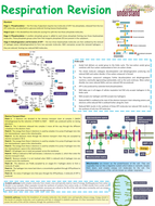OCR A Level Biology A2 Revision Notes / Summary Sheets | Teaching Resources