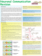 OCR A Level Biology A2 Revision Notes / Summary Sheets | Teaching Resources