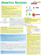OCR A Level Biology A2 Revision Notes / Summary Sheets | Teaching Resources