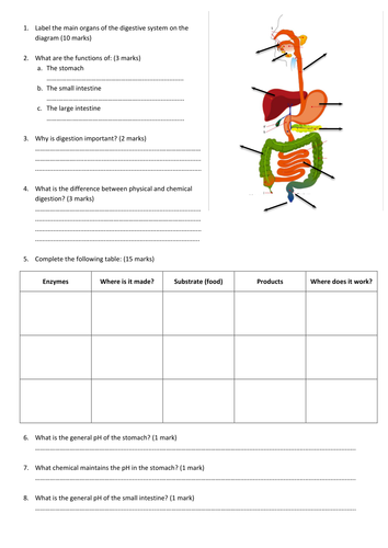 New 9-1 GCSE AQA Biology B3 How the Digestive System Works | Teaching ...