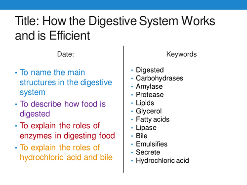 New 9-1 GCSE AQA Biology B3 How the Digestive System Works | Teaching ...