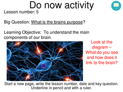 Lesson on the brain AQA new GCSE | Teaching Resources