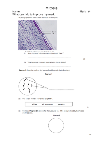 Mitosis and The Cell Cycle - New AQA Biology GCSE | Teaching Resources