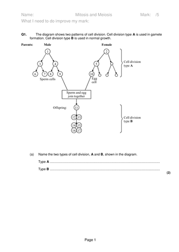 Meiosis New Aqa Biology Gcse Teaching Resources