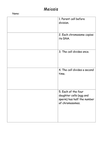 Meiosis - New AQA Biology GCSE | Teaching Resources