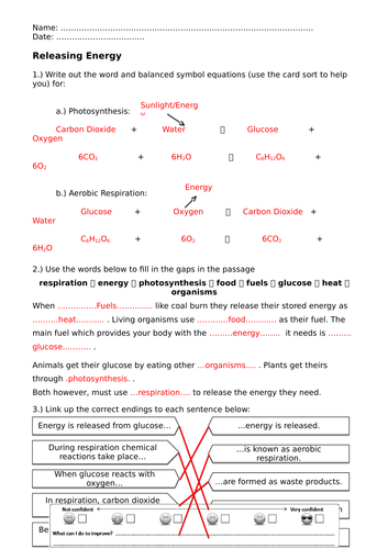 Photosynthesis/Respiration Card Sort & Summary Sheet | Teaching Resources