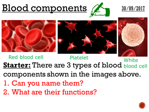 Blood components - complete lesson (GCSE 1-9) | Teaching Resources