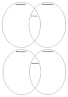 Chemosynthesis | Teaching Resources