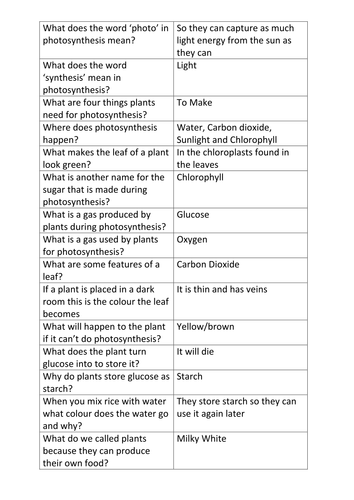 Chemosynthesis | Teaching Resources