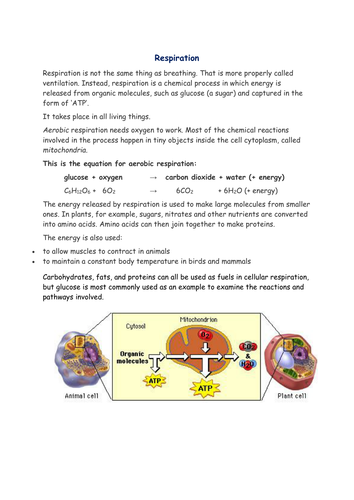 AQA KS4 GCSE Biology (Science) Aerobic Respiration Lesson | Teaching ...