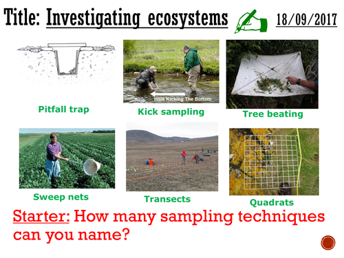 Investigating ecosystems - complete lesson (A2) | Teaching Resources