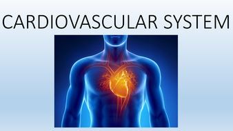 New Spec (2016) OCR GCSE PE Cardiovascular System Scheme of work and ...