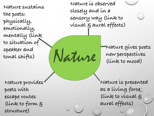 CCEA AS1 Poetry 1900-present Robert Frost/Seamus Heaney theme of Nature ...
