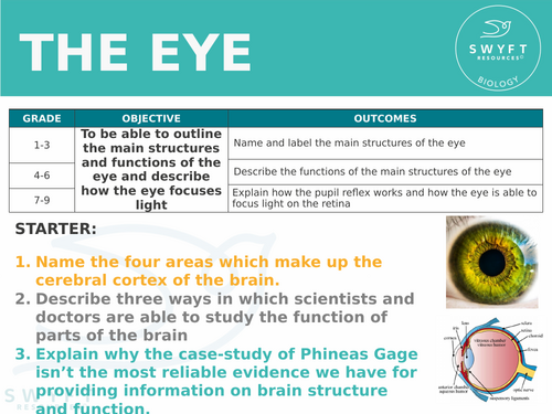 NEW AQA GCSE Biology (2016) - The eye HT | Teaching Resources