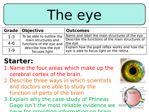 NEW AQA GCSE Biology (2016) - The eye HT | Teaching Resources