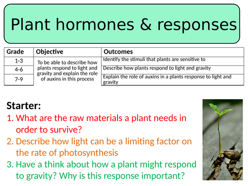 NEW AQA GCSE Biology (2016) - Plant hormones & responses HT | Teaching ...