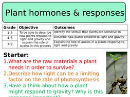 NEW AQA GCSE Biology (2016) - Plant hormones & responses HT | Teaching ...