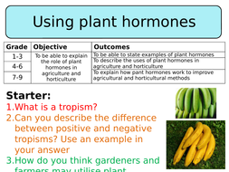 NEW AQA GCSE Biology (2016) - Using plant hormones HT | Teaching Resources
