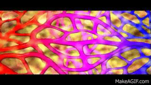 Blood vessels - complete lesson (GCSE 1-9) | Teaching Resources