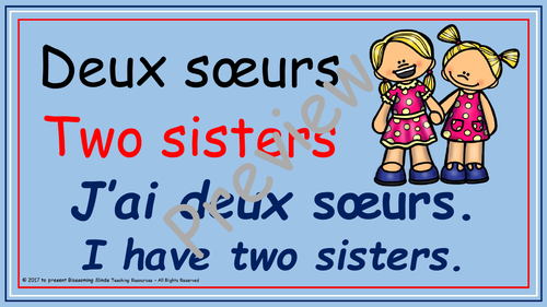 French Family Members lesson / la famille | Teaching Resources