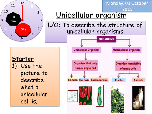 Unicellular Organisms (Lesson 5 - Chapter 1) Activate 1 | Teaching ...