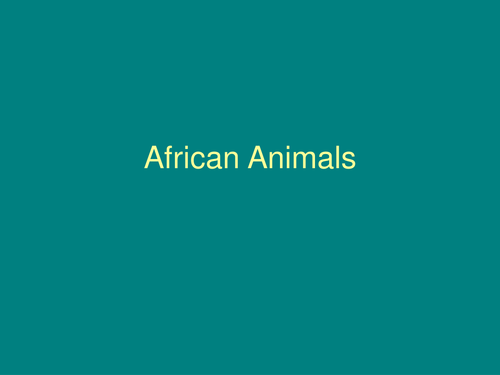 KS1 African Animals English Text Factfile | Teaching Resources