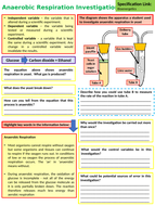 AQA KS4 GCSE Biology (Science) Anaerobic Respiration Lesson | Teaching Resources