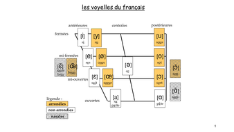 French phonetics vowels | Teaching Resources