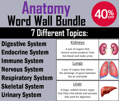 Anatomy Word Wall Bundle: The Human Body Systems | Teaching Resources
