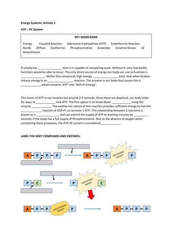 ATP-PC ENERGY SYSTEM: Video and Worksheet | Teaching Resources
