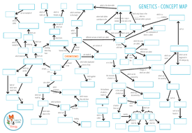 Genetics - Concept map (KS3/4) | Teaching Resources