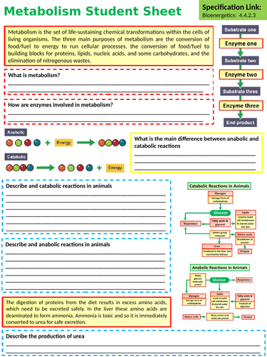 Aqa Ks4 Gcse Biology Science Metabolism Lesson Teaching Resources