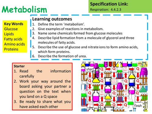 Aqa Ks4 Gcse Biology Science Metabolism Lesson Teaching Resources