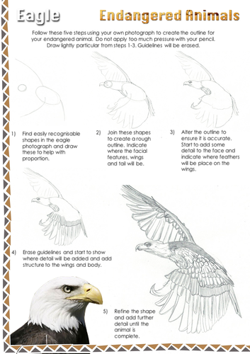 How to draw: Savannah Pack | Teaching Resources