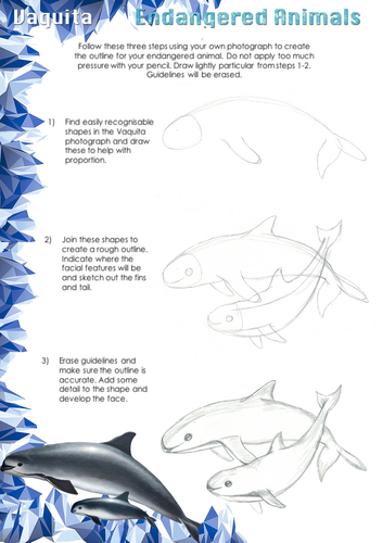 How to draw: Water Pack | Teaching Resources