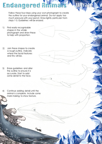 How to draw: Water Pack | Teaching Resources