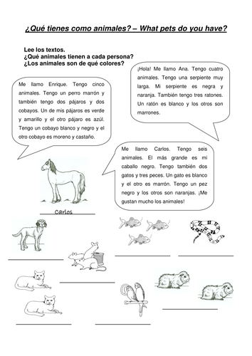 Spanish pets and opinions lesson | Teaching Resources