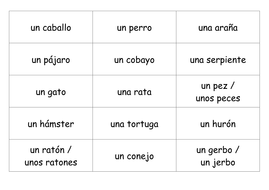 Spanish pets and opinions lesson | Teaching Resources